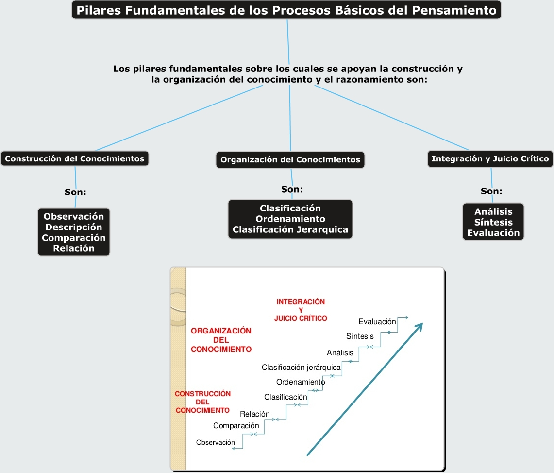 Pilares Fundamentales de los Procesos Básicos del Pensamiento